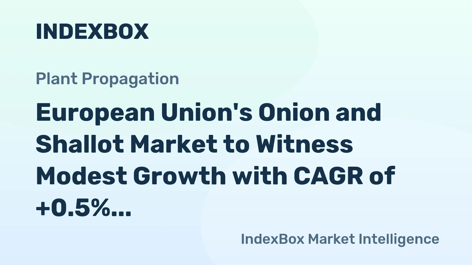 European Union's Onion and Shallot Market to Witness Modest Growth with CAGR of +0.5% from 2024 to 2035