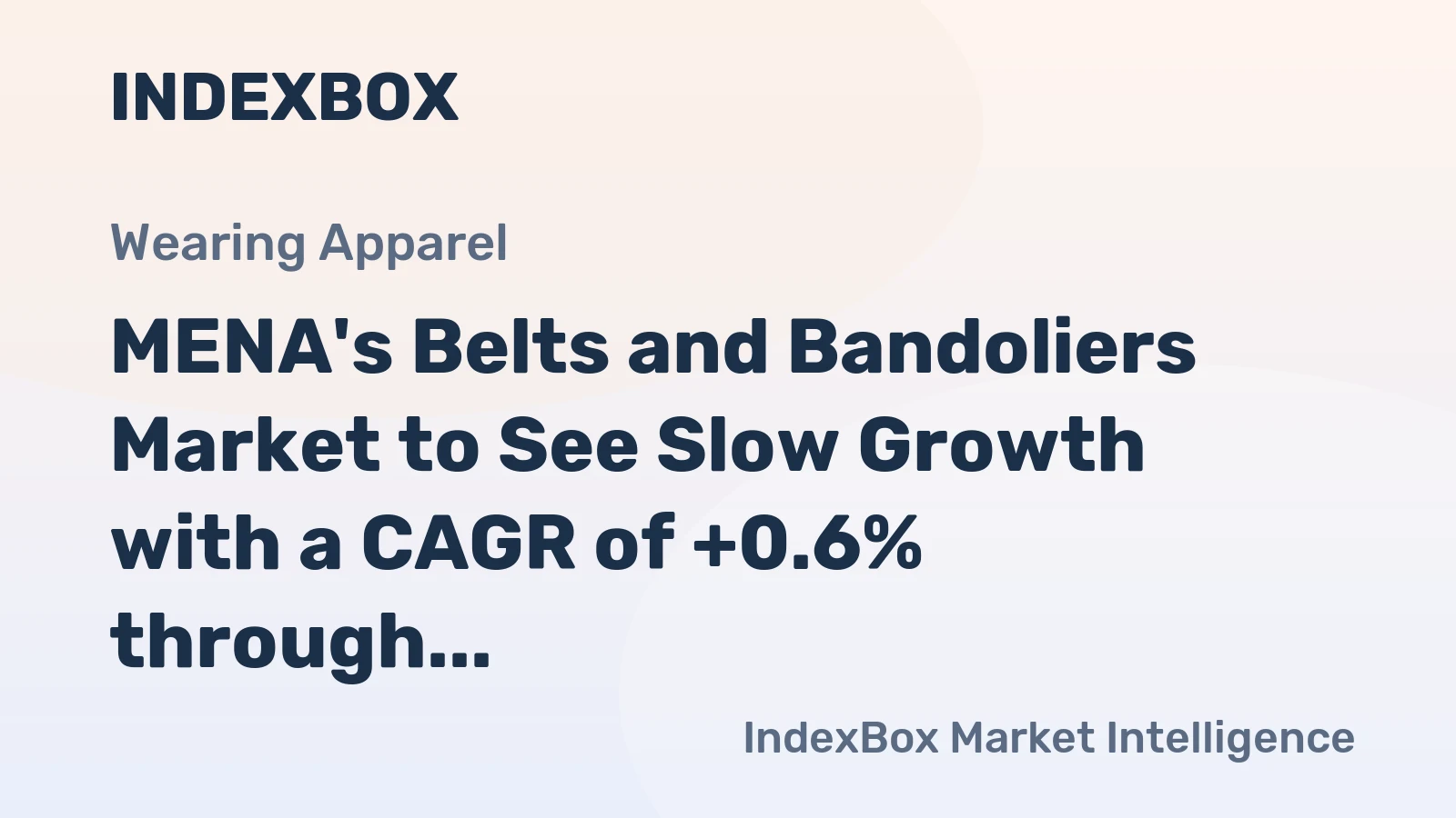 MENA's Belts and Bandoliers Market to See Slow Growth with a CAGR of +0.6% through 2035, Reaching $957M in Value