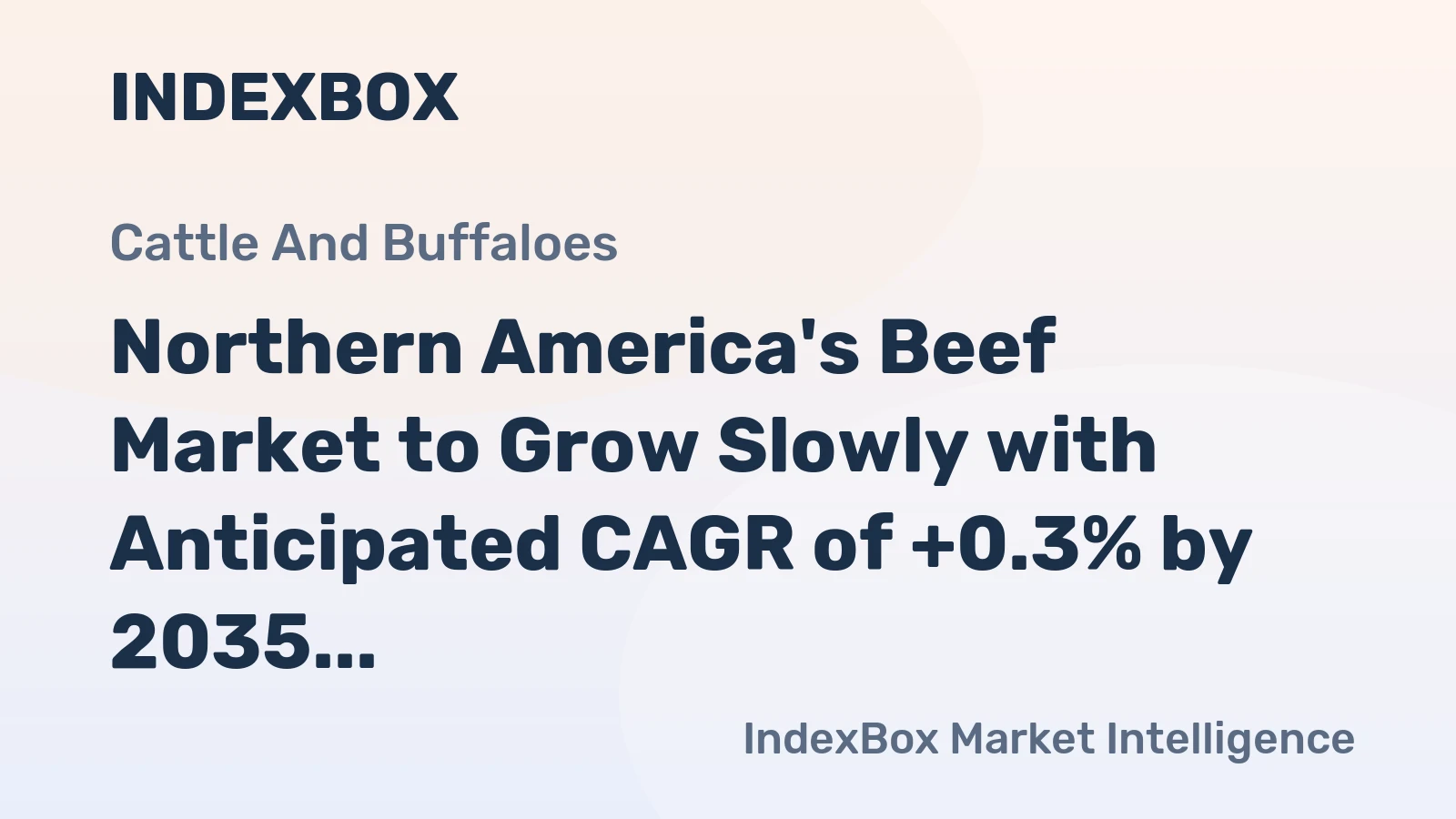 Northern America's Beef Market to Grow Slowly with Anticipated CAGR of +0.3% by 2035