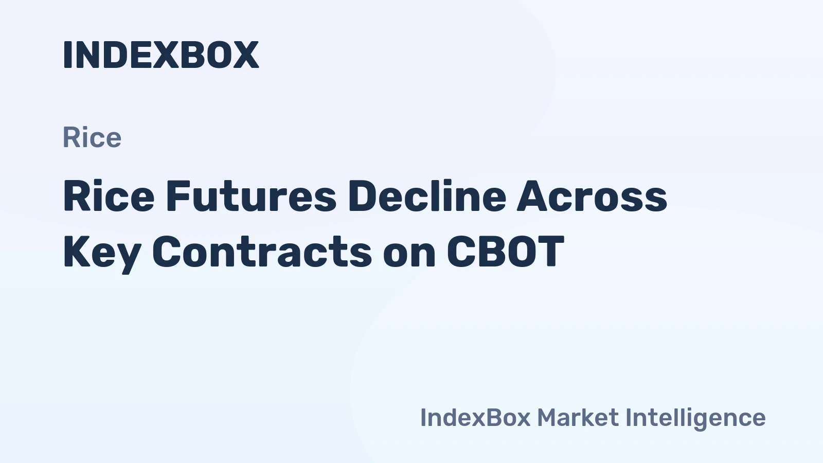 Rice Futures Decline Across Key Contracts on CBOT