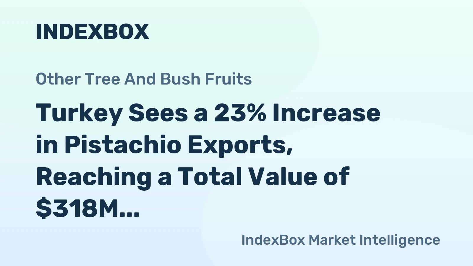 Turkey Sees a 23% Increase in Pistachio Exports, Reaching a Total Value of $318M in 2023.
