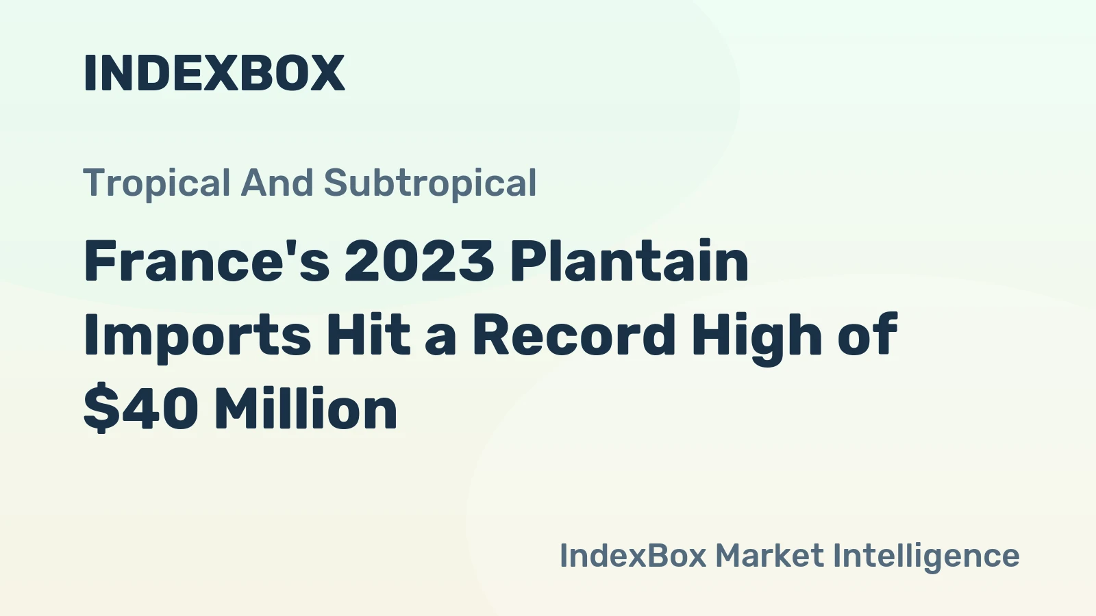 France's 2023 Plantain Imports Hit a Record High of $40 Million