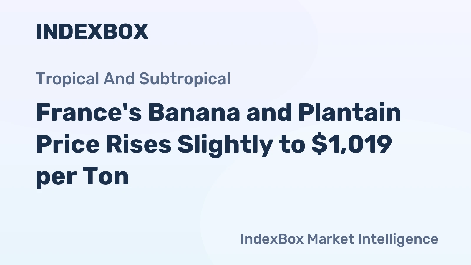 France's Banana and Plantain Price Rises Slightly to $1,019 per Ton