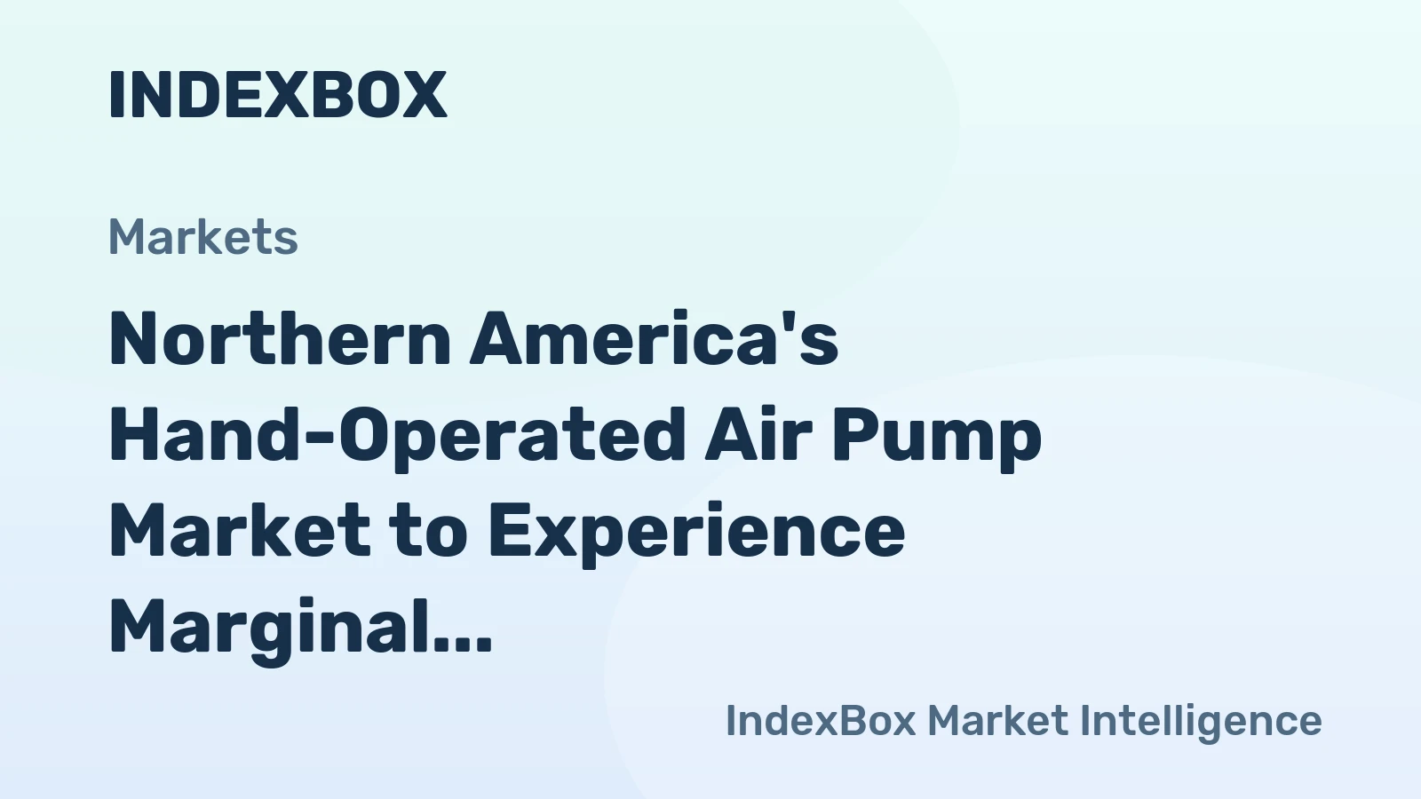 Northern America's Hand-Operated Air Pump Market to Experience Marginal Growth with Expected CAGR of +0.2%