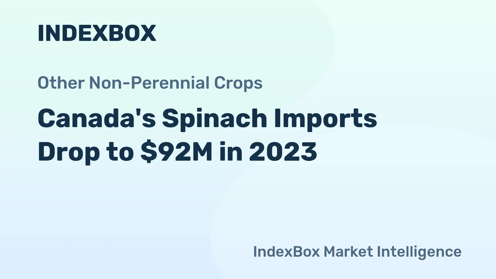 Canada's Spinach Imports Drop to $92M in 2023