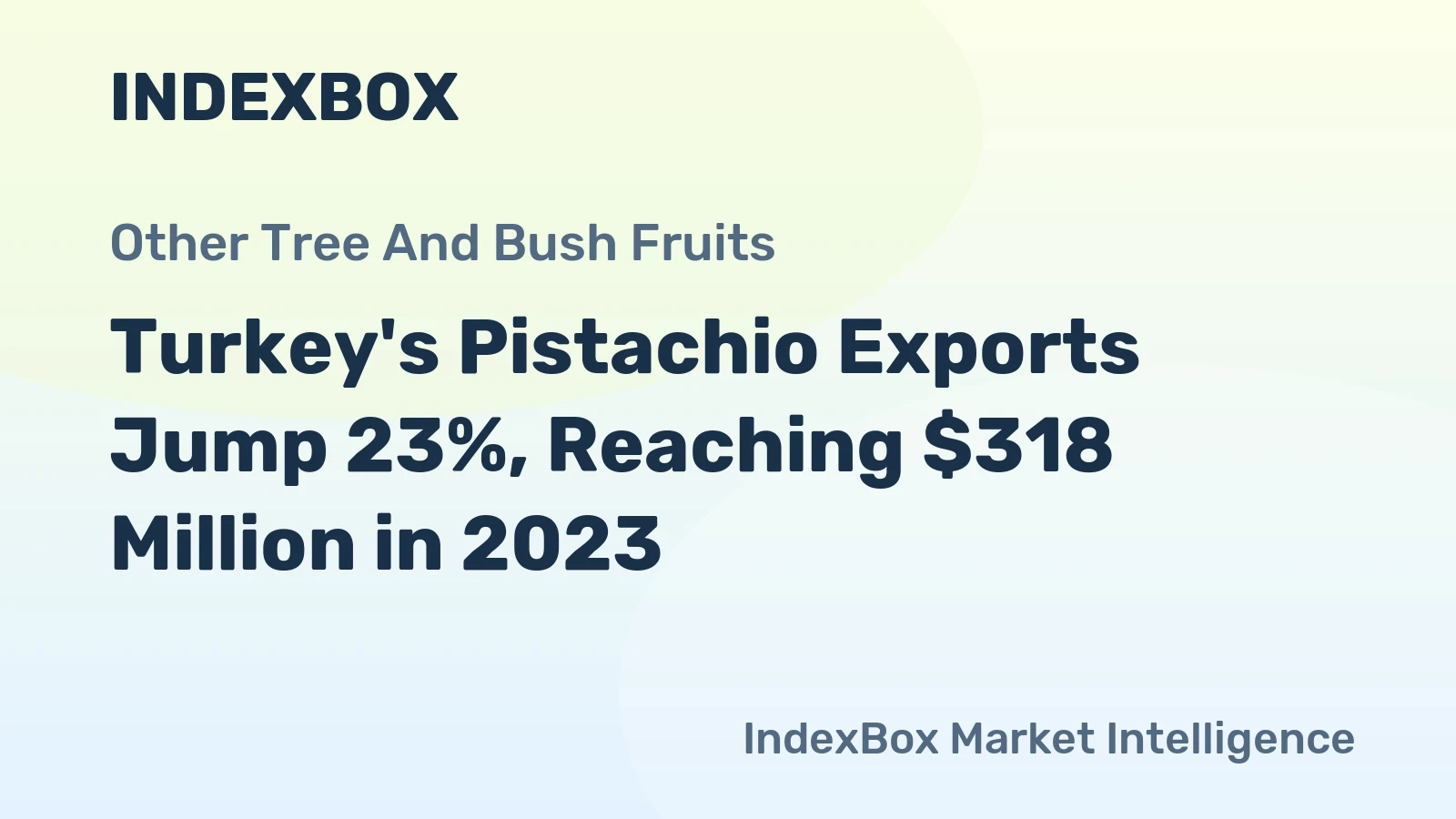 Turkey's Pistachio Exports Jump 23%, Reaching $318 Million in 2023