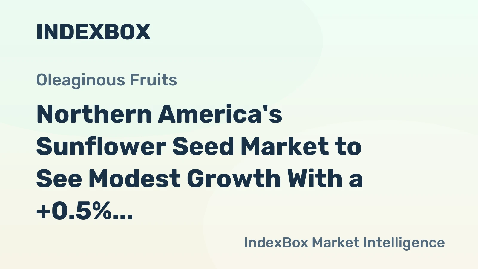 Northern America's Sunflower Seed Market to See Modest Growth With a +0.5% CAGR in Value