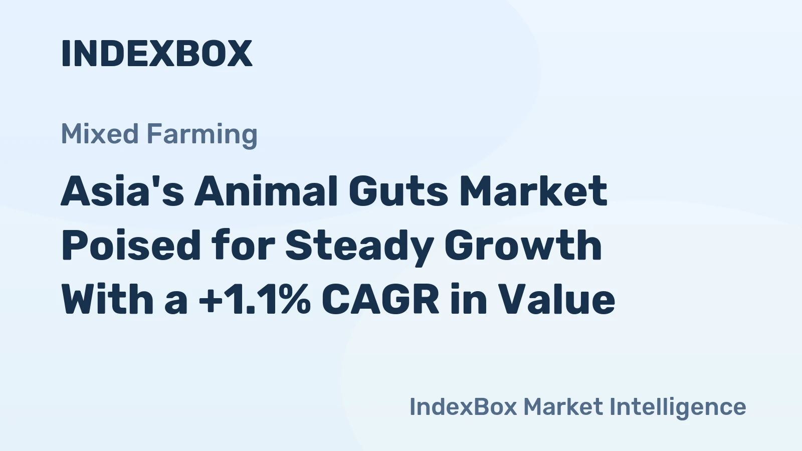 Asia's Animal Guts Market Poised for Steady Growth With a +1.1% CAGR in Value