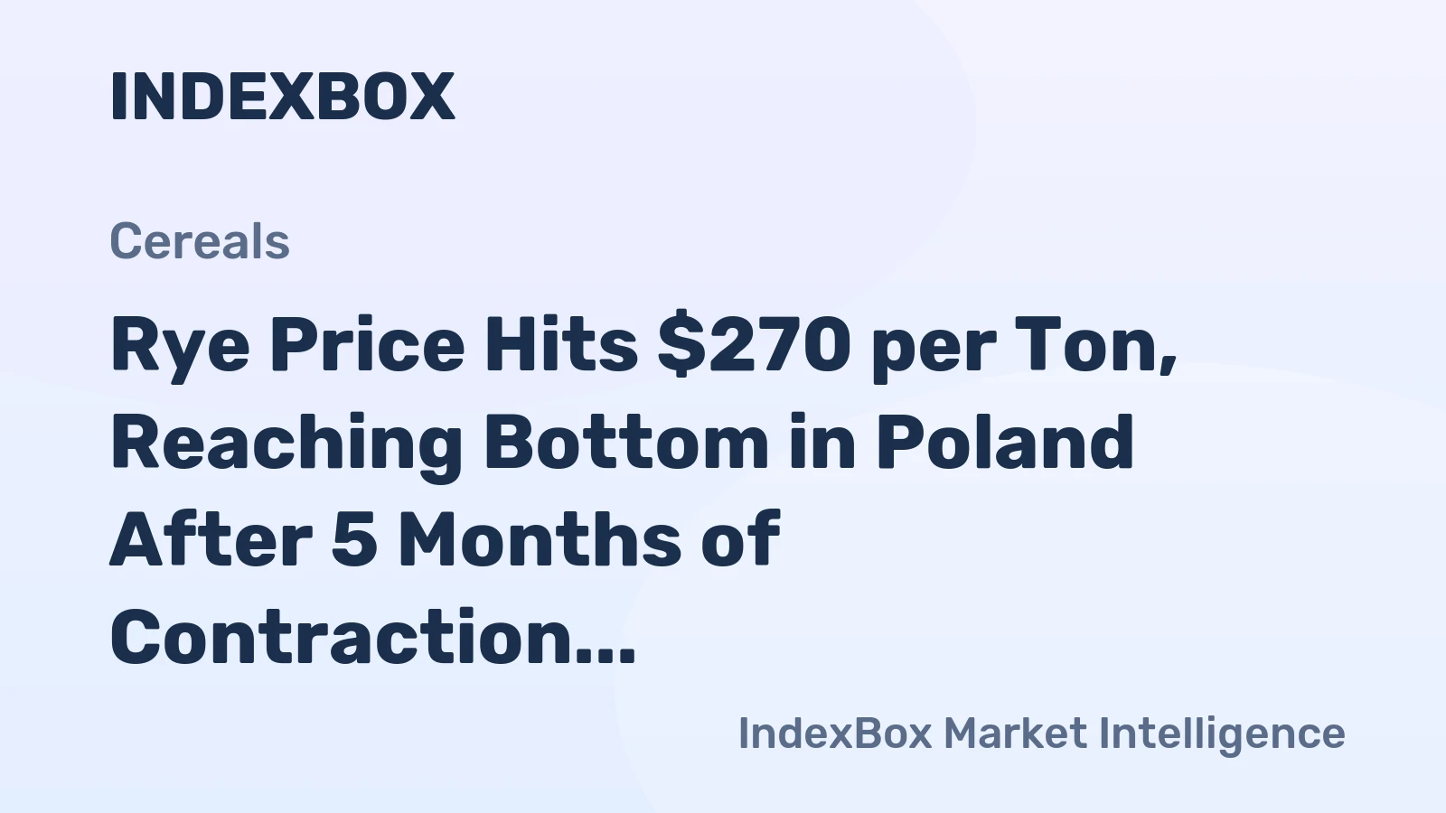 Rye Price Hits $270 per Ton, Reaching Bottom in Poland After 5 Months of Contraction