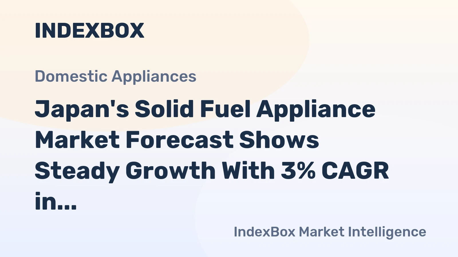 Japan's Solid Fuel Appliance Market Forecast Shows Steady Growth With 3% CAGR in Value