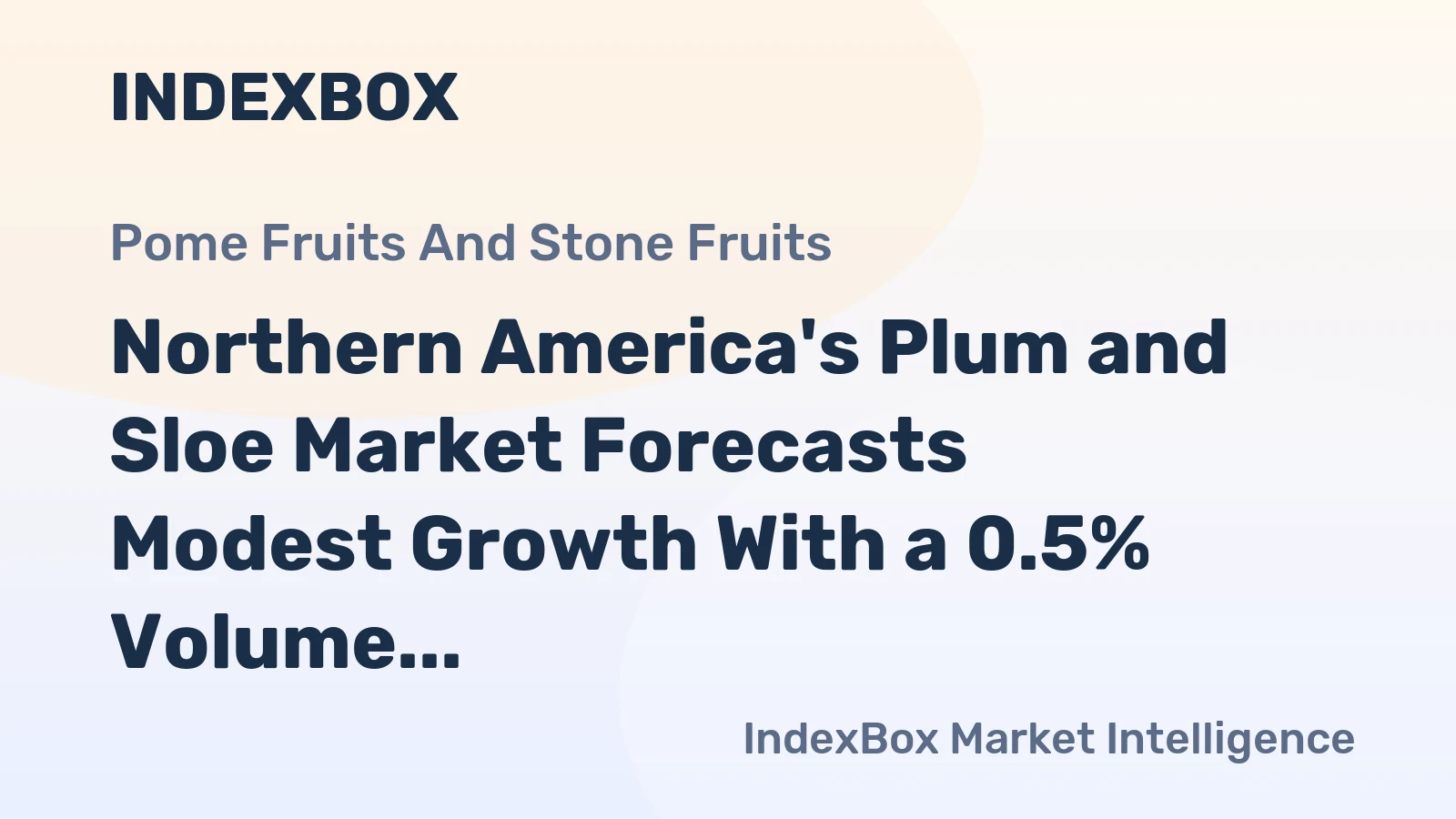 Northern America's Plum and Sloe Market Forecasts Modest Growth With a 0.5% Volume CAGR