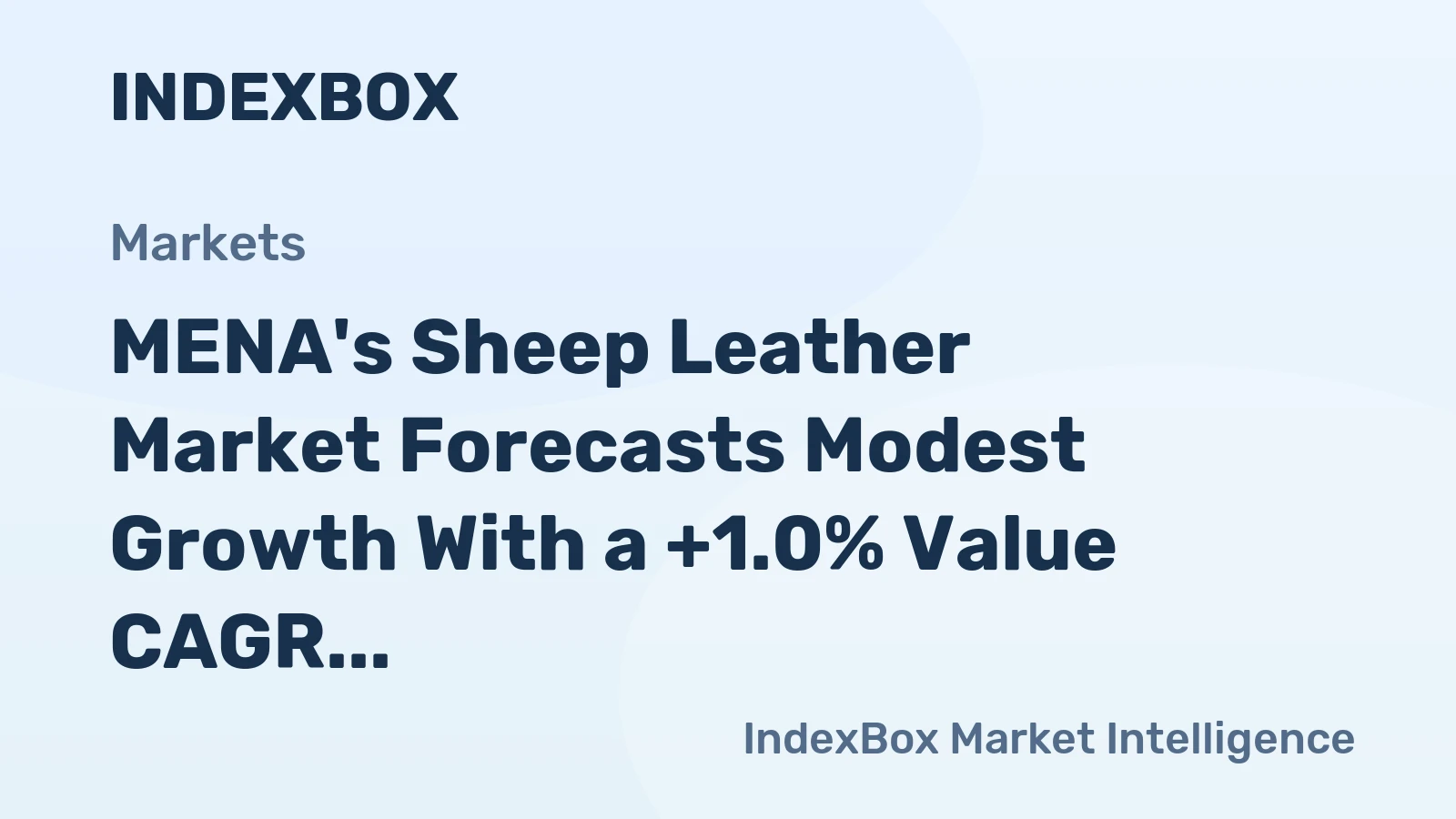 MENA's Sheep Leather Market Forecasts Modest Growth With a +1.0% Value CAGR Through 2035