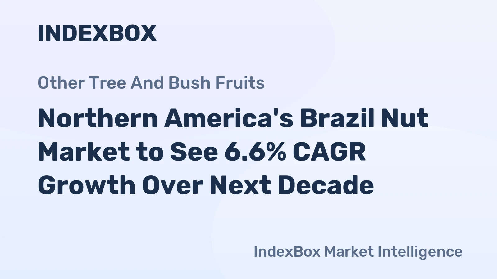 Northern America's Brazil Nut Market to See 6.6% CAGR Growth Over Next Decade