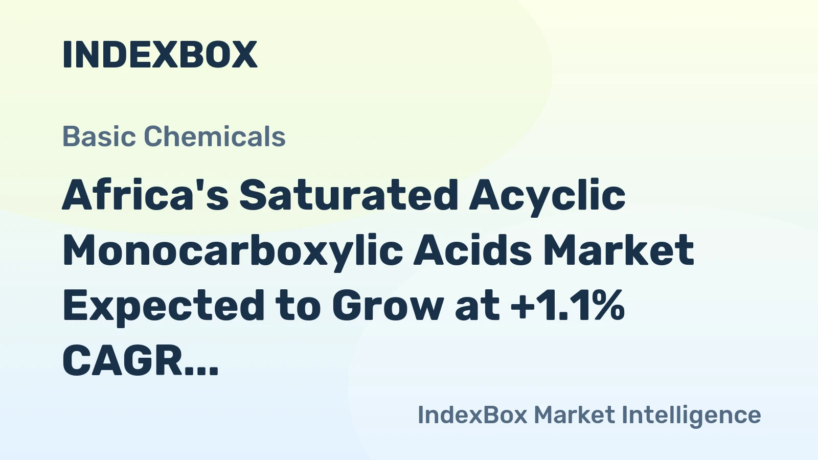 Africa's Saturated Acyclic Monocarboxylic Acids Market Expected to Grow at +1.1% CAGR from 2024 to 2035