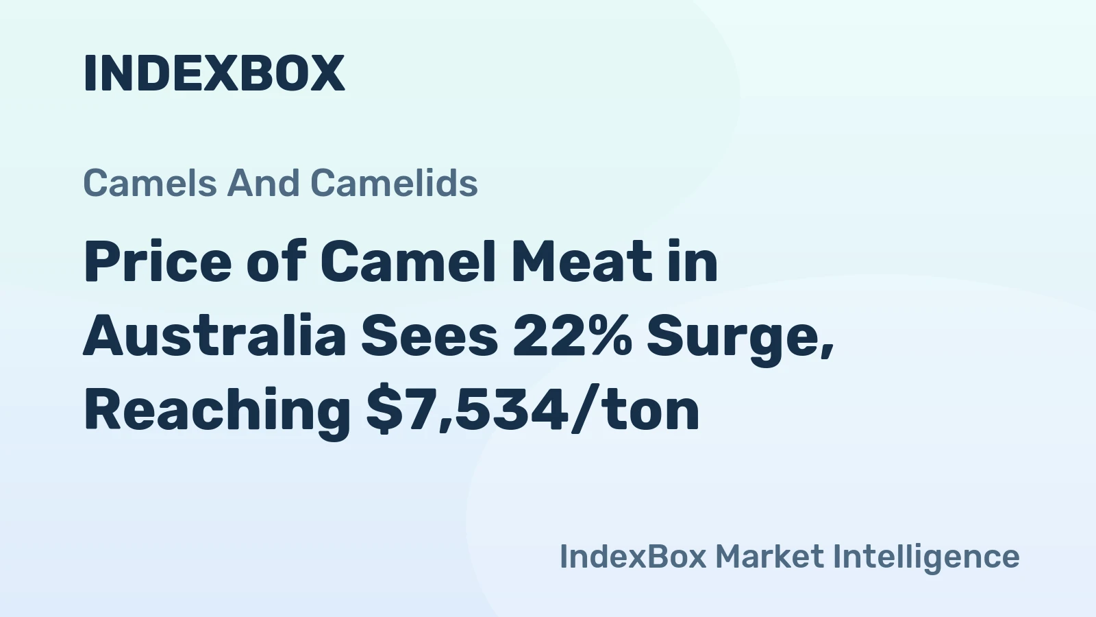 Price of Camel Meat in Australia Sees 22% Surge, Reaching $7,534/ton