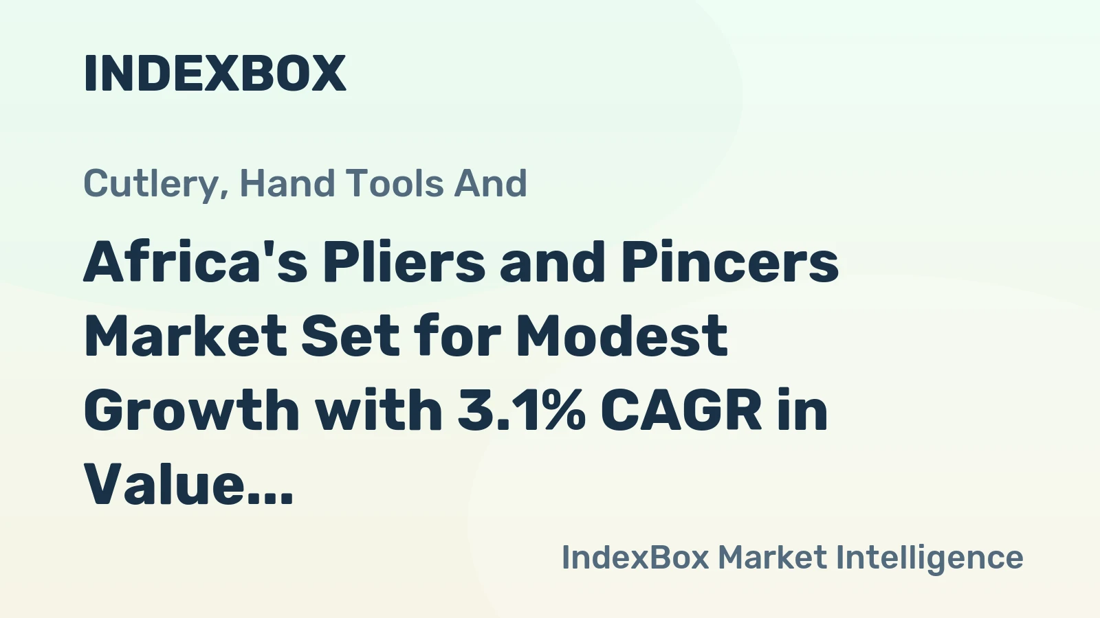 Africa's Pliers and Pincers Market Set for Modest Growth with 3.1% CAGR in Value