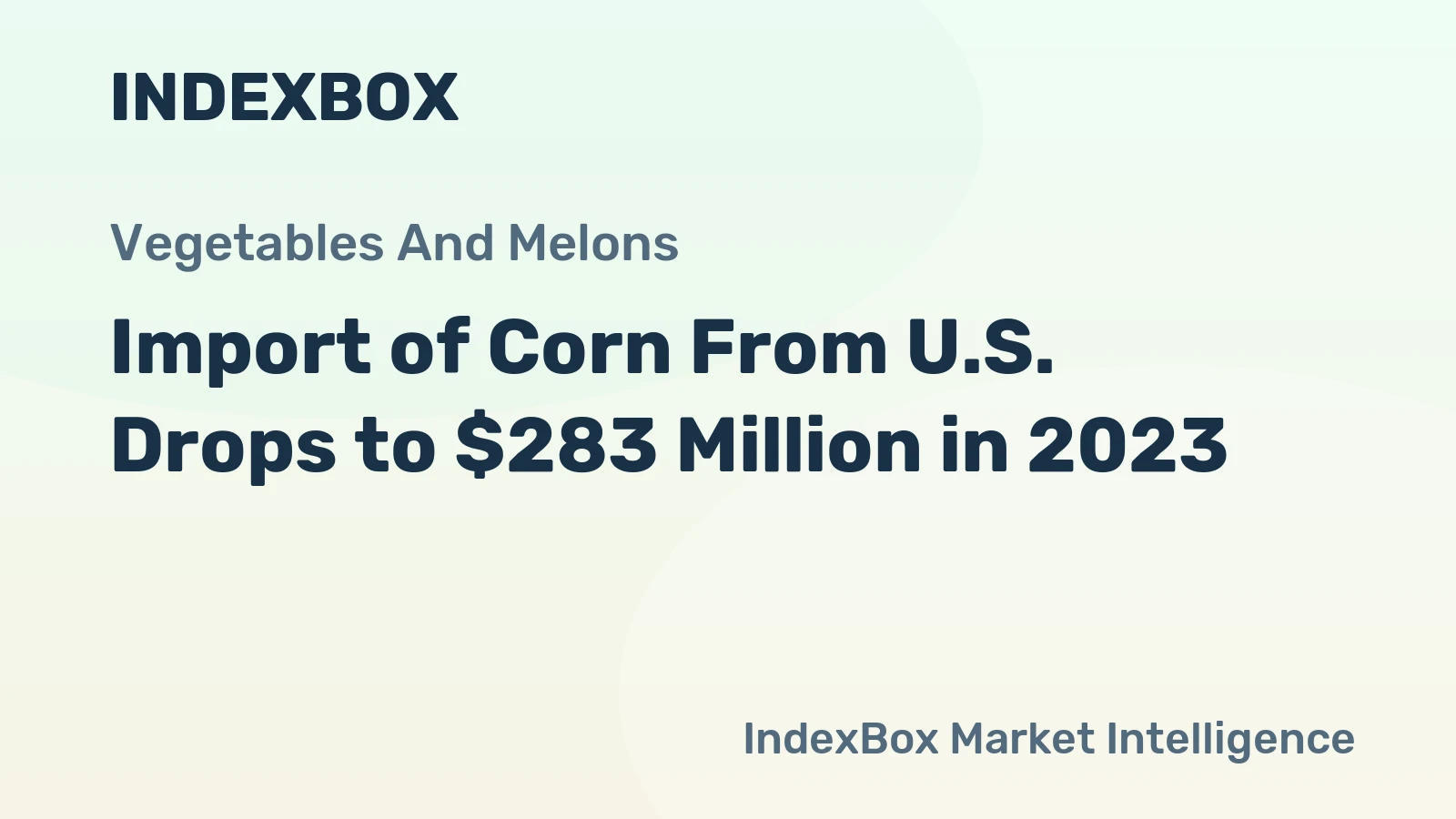 Import of Corn From U.S. Drops to $283 Million in 2023