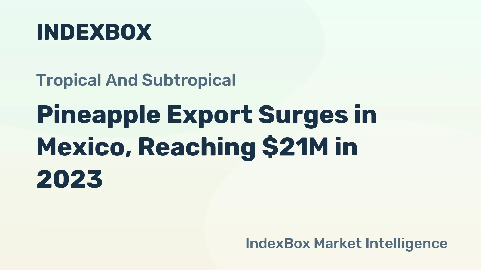 Pineapple Export Surges in Mexico, Reaching $21M in 2023