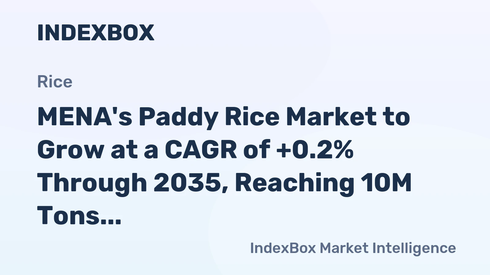 MENA's Paddy Rice Market to Grow at a CAGR of +0.2% Through 2035, Reaching 10M Tons