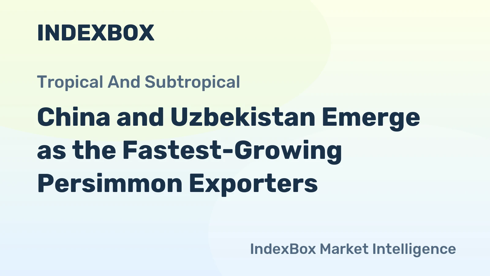 China and Uzbekistan Emerge as the Fastest-Growing Persimmon Exporters