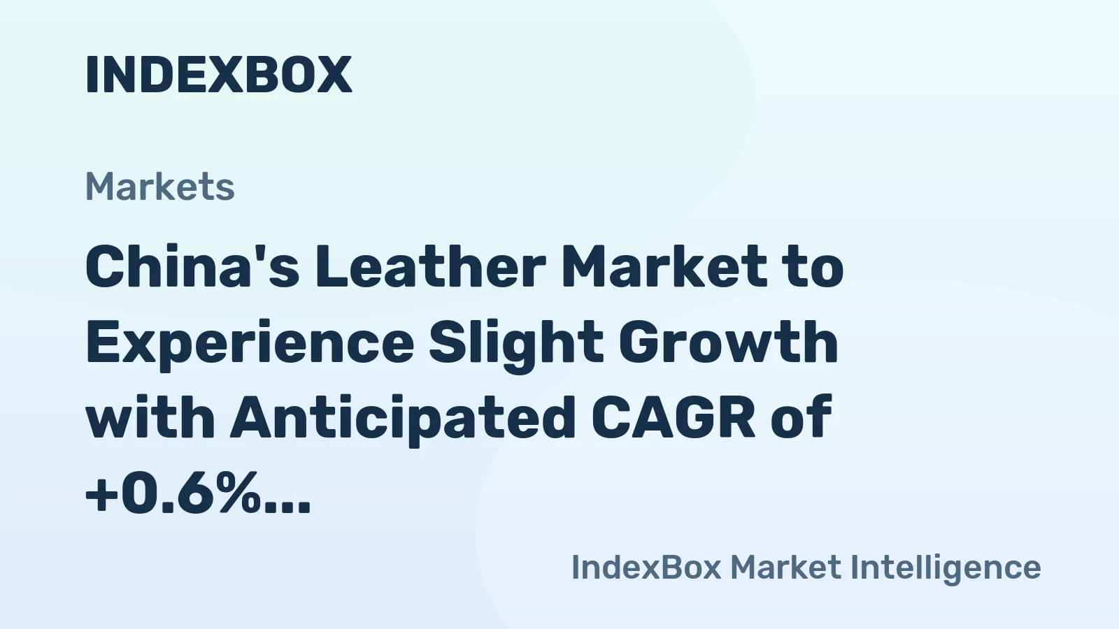 China's Leather Market to Experience Slight Growth with Anticipated CAGR of +0.6% from 2024 to 2035