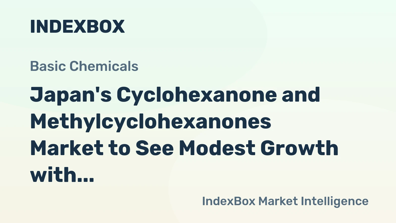 Japan's Cyclohexanone and Methylcyclohexanones Market to See Modest Growth with +1.7% CAGR in Value