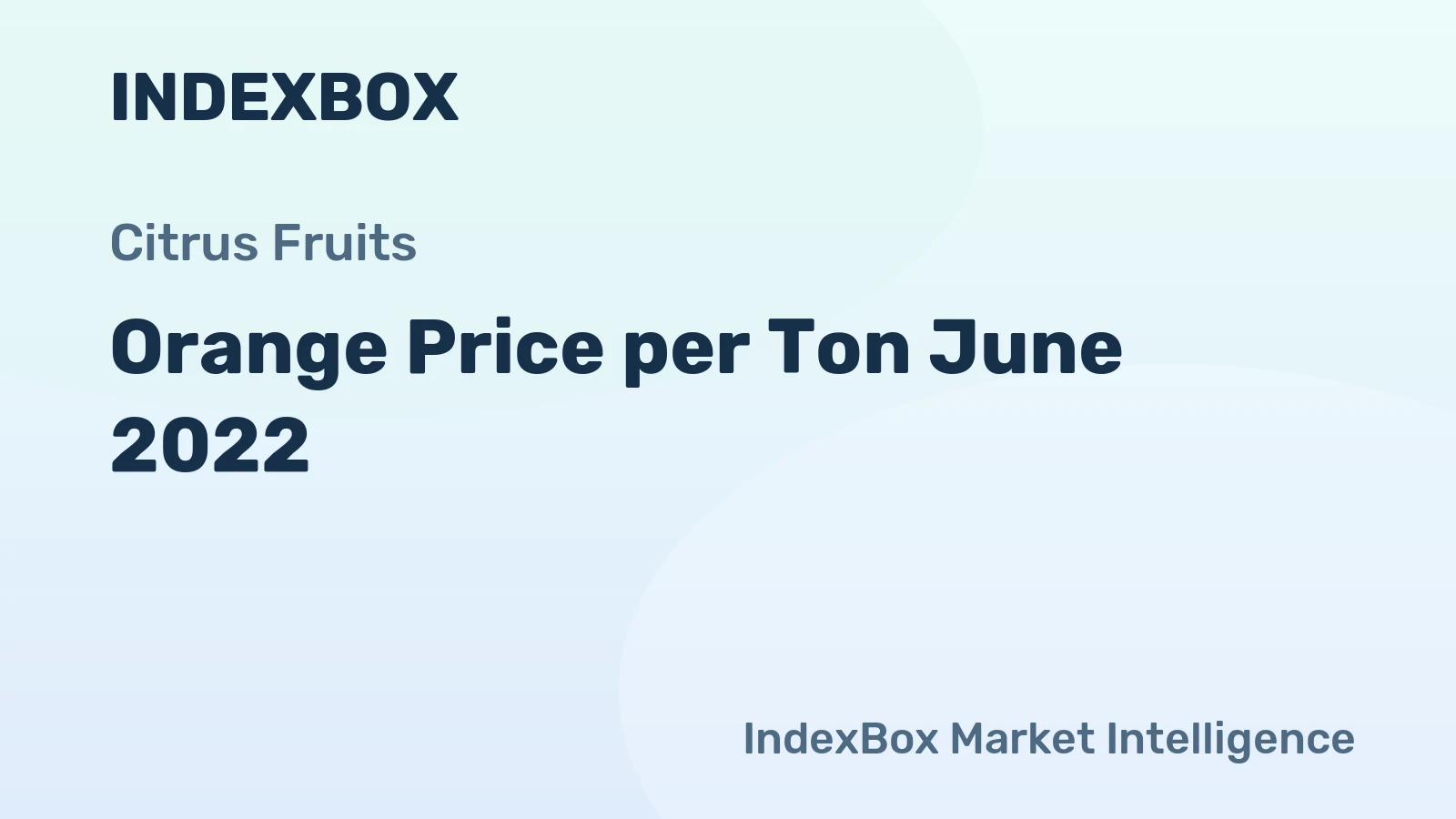 Orange Price per Ton June 2022