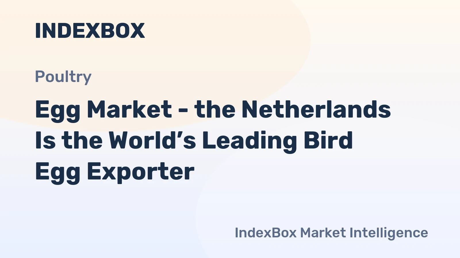 Egg Market - the Netherlands Is the World’s Leading Bird Egg Exporter