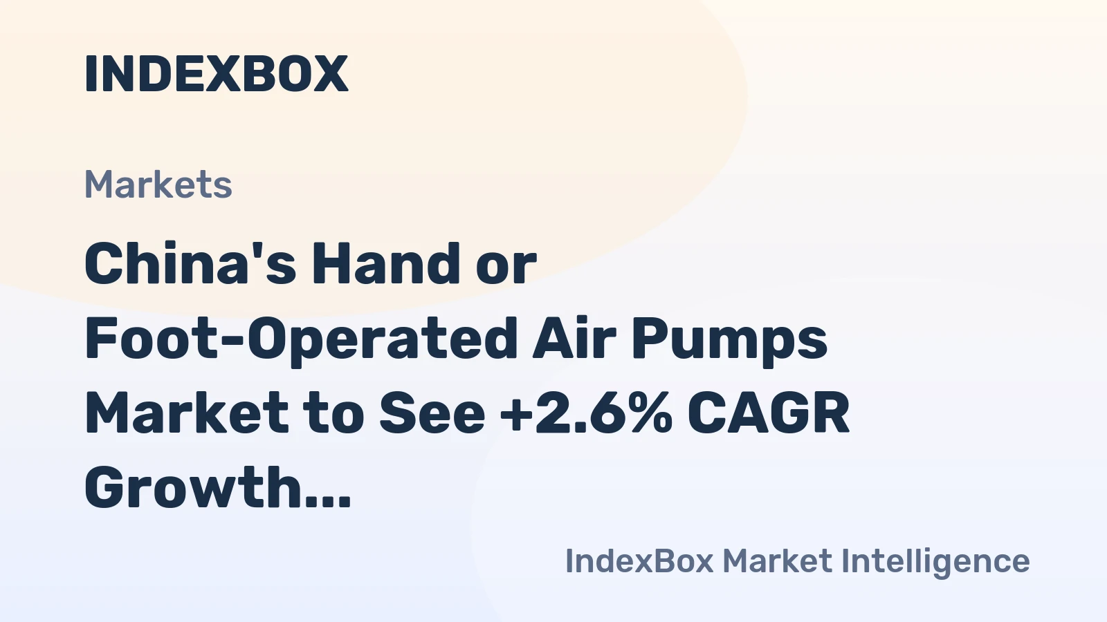 China's Hand or Foot-Operated Air Pumps Market to See +2.6% CAGR Growth Through 2035