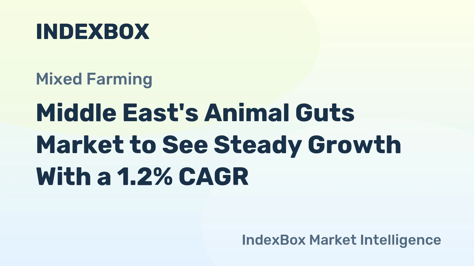 Middle East's Animal Guts Market to See Steady Growth With a 1.2% CAGR