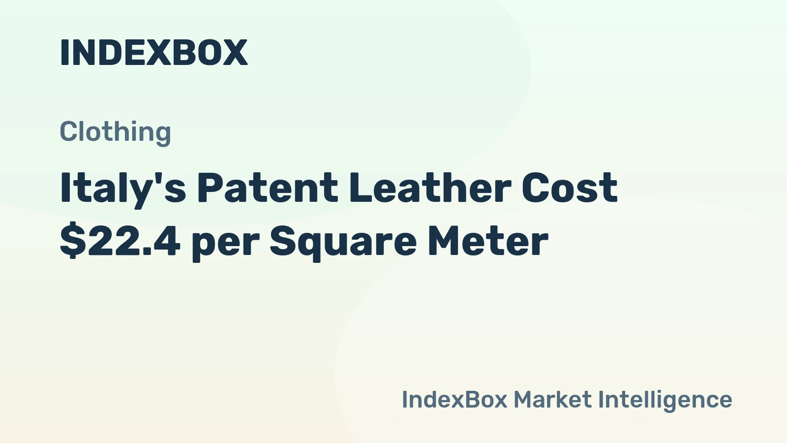 Italy's Patent Leather Cost $22.4 per Square Meter