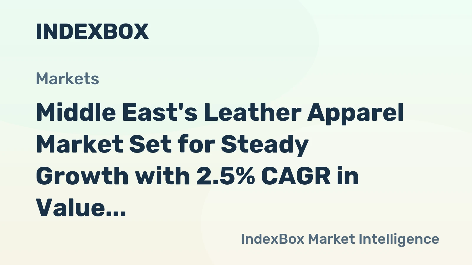 Middle East's Leather Apparel Market Set for Steady Growth with 2.5% CAGR in Value