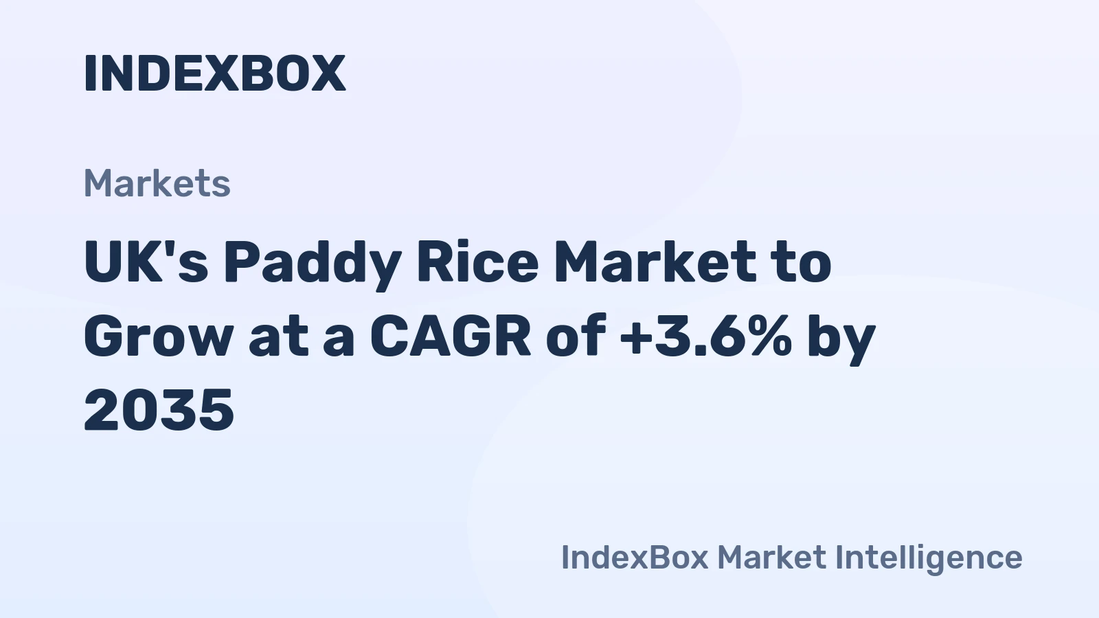 UK's Paddy Rice Market to Grow at a CAGR of +3.6% by 2035