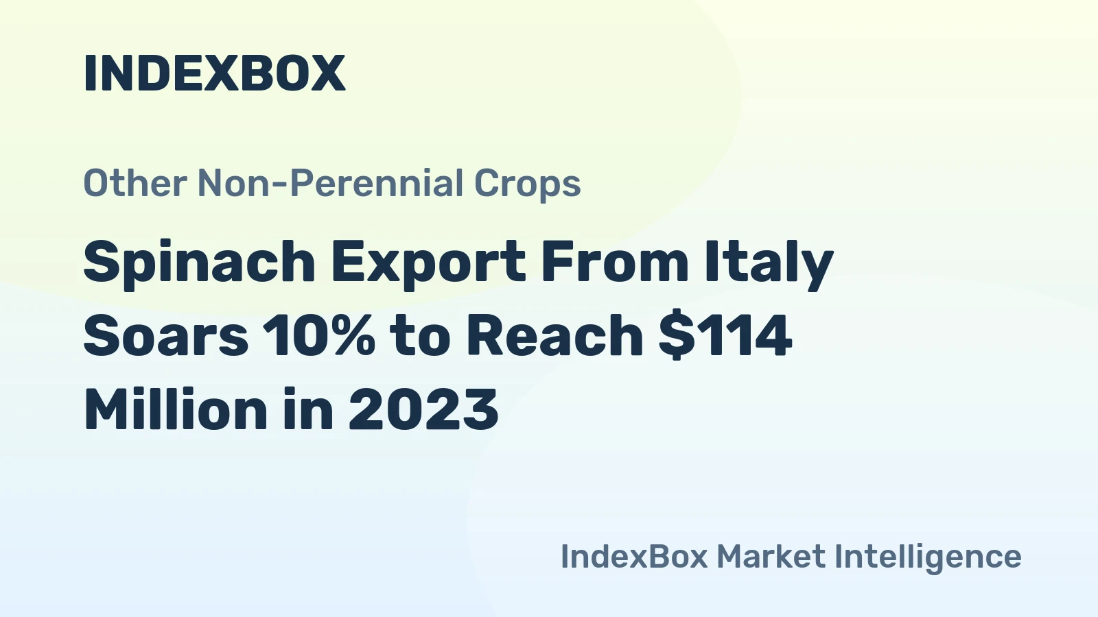 Spinach Export From Italy Soars 10% to Reach $114 Million in 2023