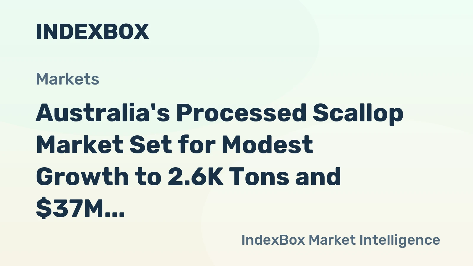 Australia's Processed Scallop Market Set for Modest Growth to 2.6K Tons and $37M