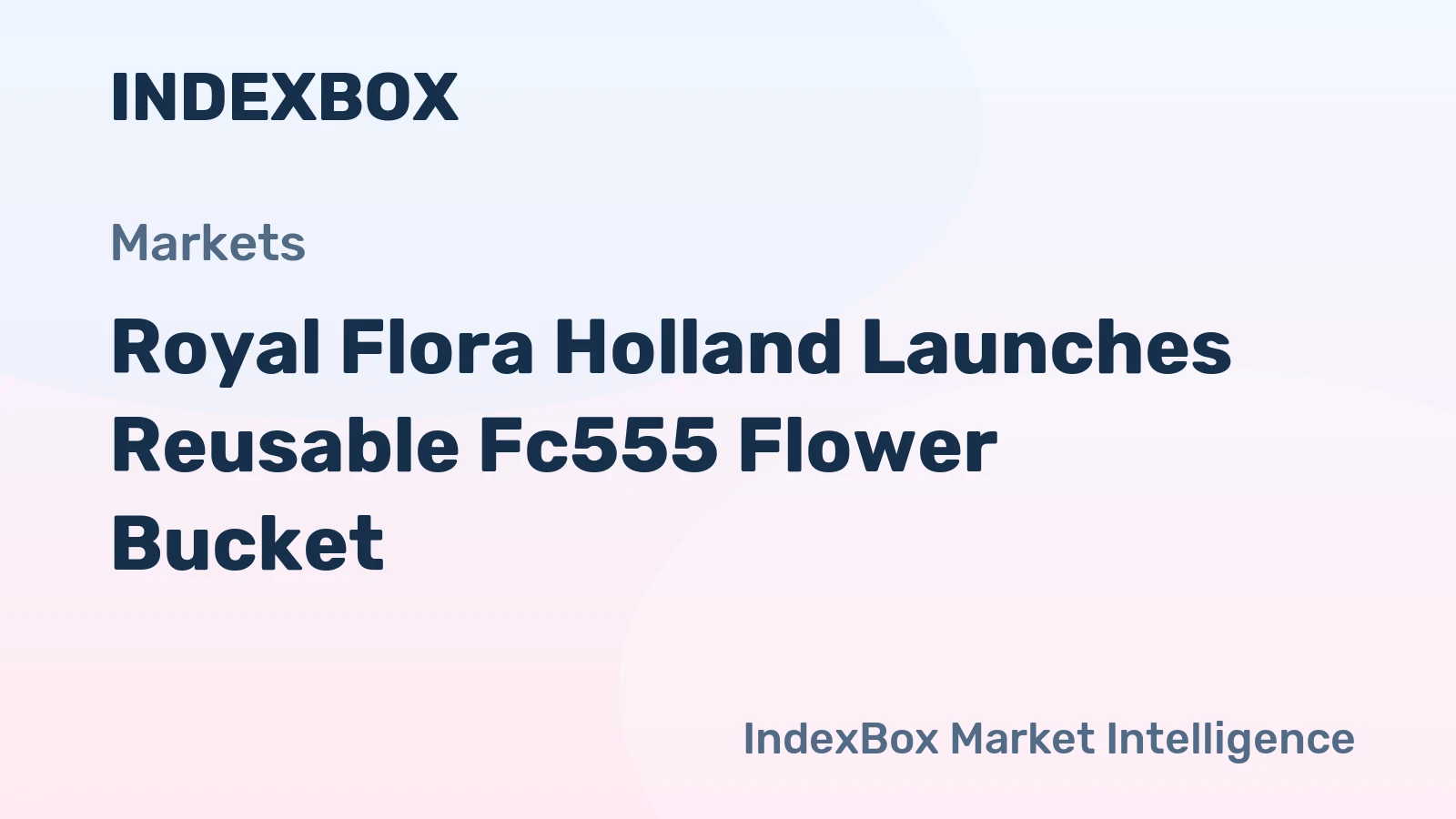 Royal Flora Holland Launches Reusable Fc555 Flower Bucket