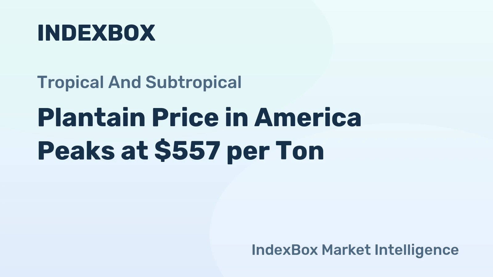 Plantain Price in America Peaks at $557 per Ton
