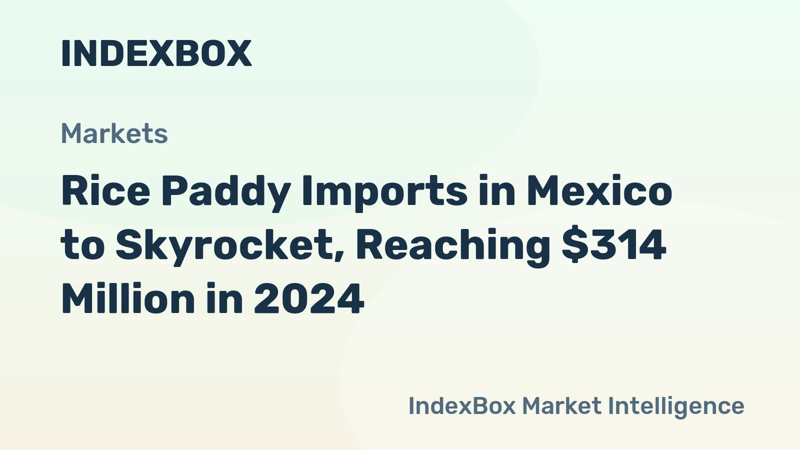 Rice Paddy Imports in Mexico to Skyrocket, Reaching $314 Million in 2024