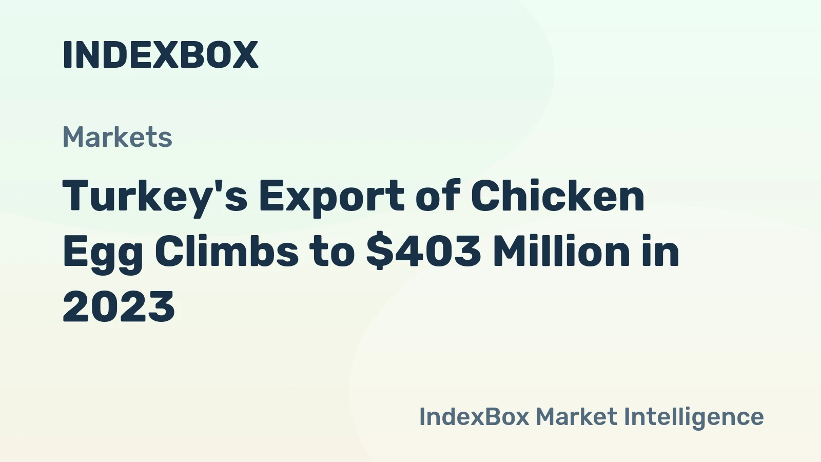 Turkey's Export of Chicken Egg Climbs to $403 Million in 2023