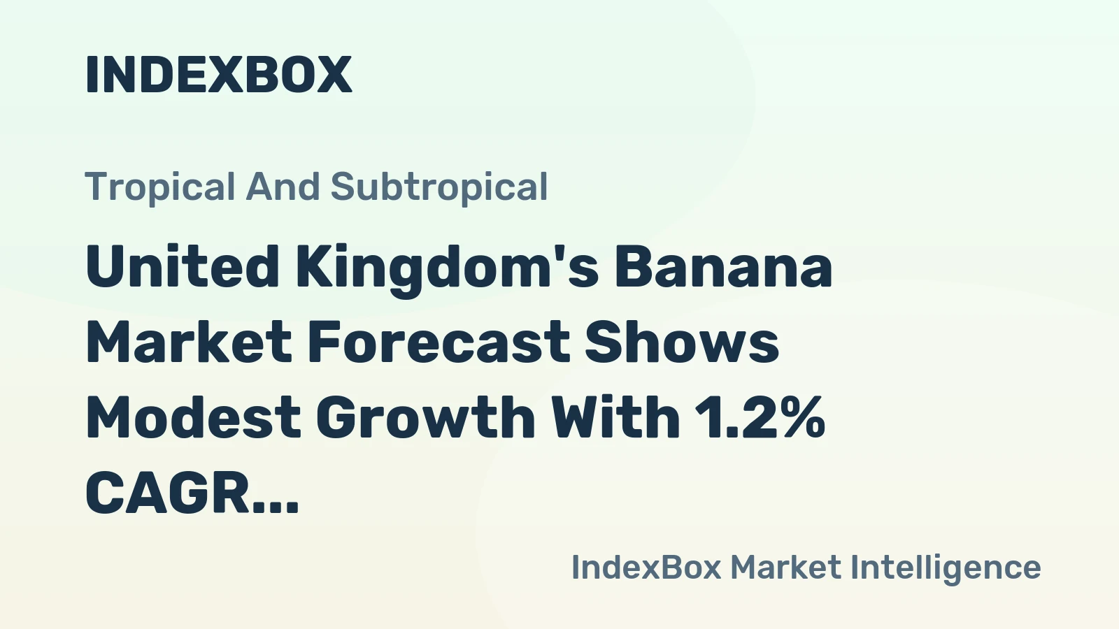 United Kingdom's Banana Market Forecast Shows Modest Growth With 1.2% CAGR in Value