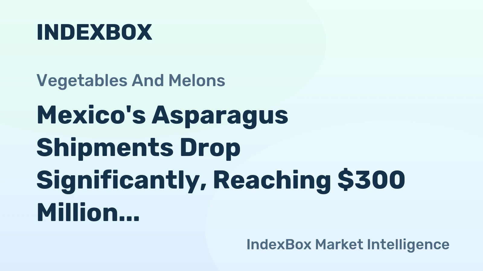 Mexico's Asparagus Shipments Drop Significantly, Reaching $300 Million in 2023