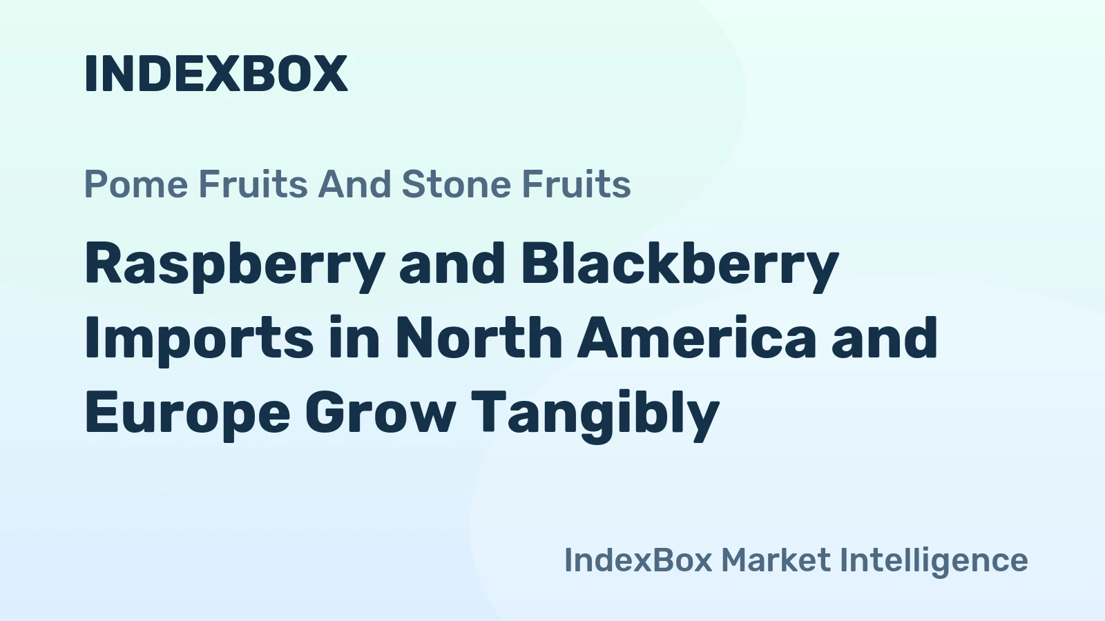Raspberry and Blackberry Imports in North America and Europe Grow Tangibly