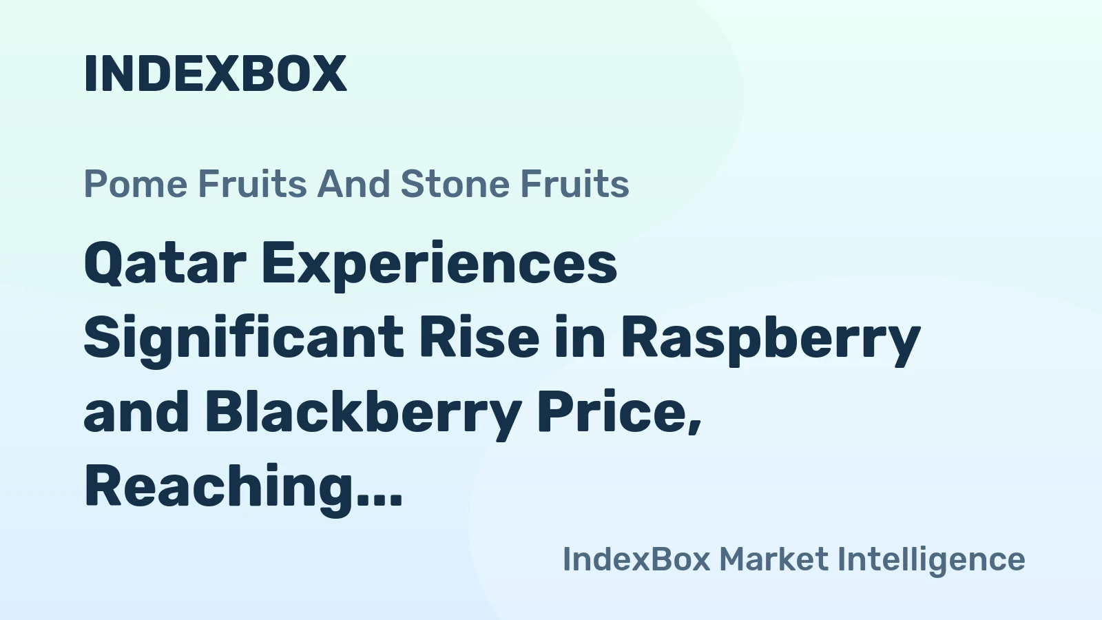 Qatar Experiences Significant Rise in Raspberry and Blackberry Price, Reaching $11.9 per kg