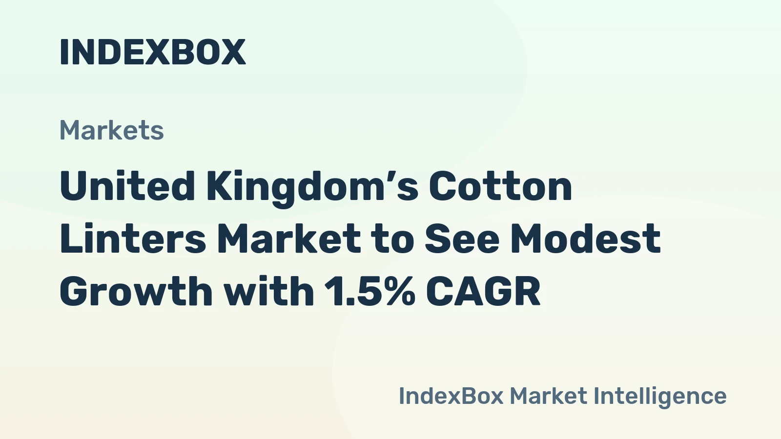 United Kingdom’s Cotton Linters Market to See Modest Growth with 1.5% CAGR