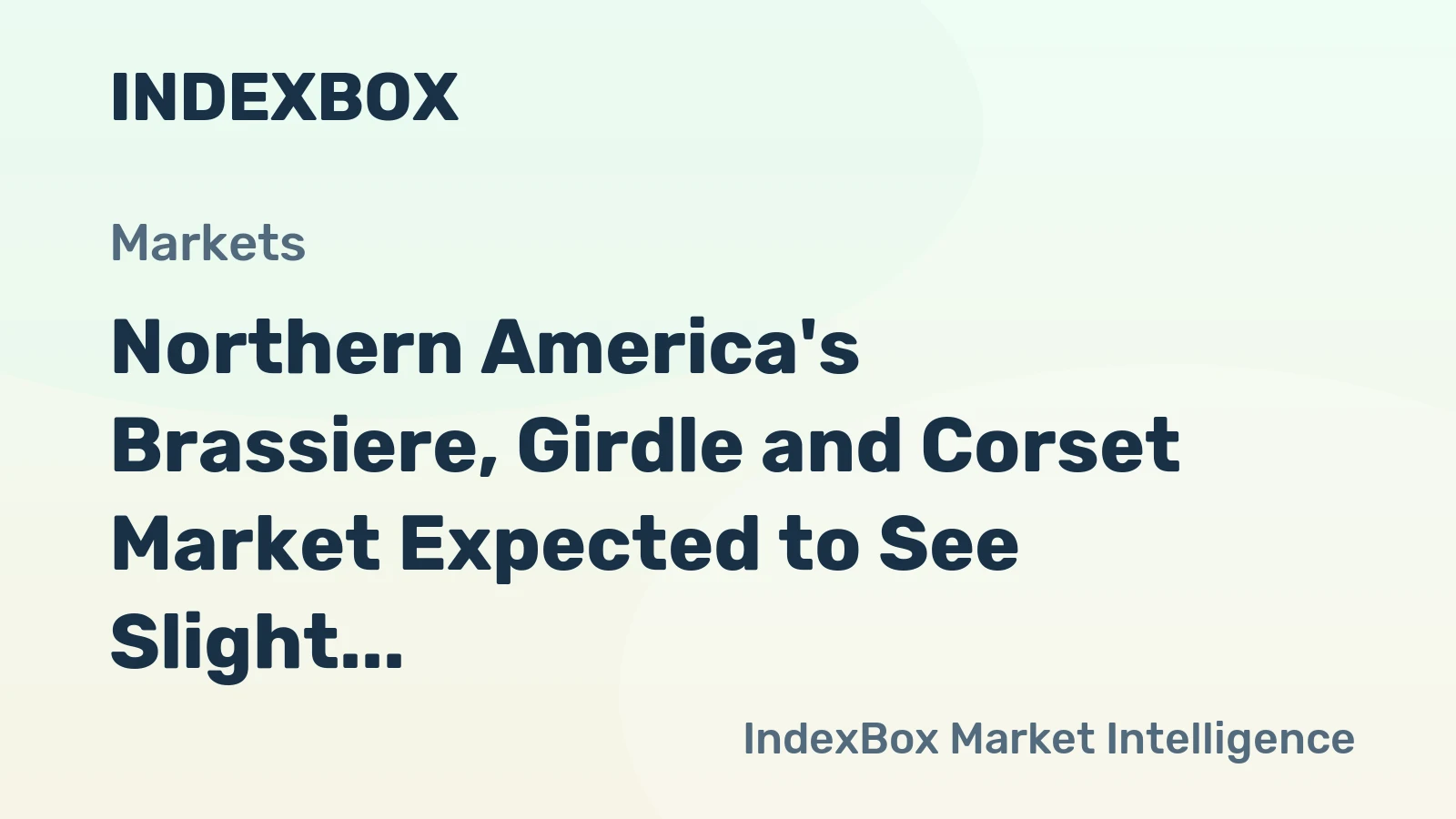 Northern America's Brassiere, Girdle and Corset Market Expected to See Slight Growth with +0.3% CAGR