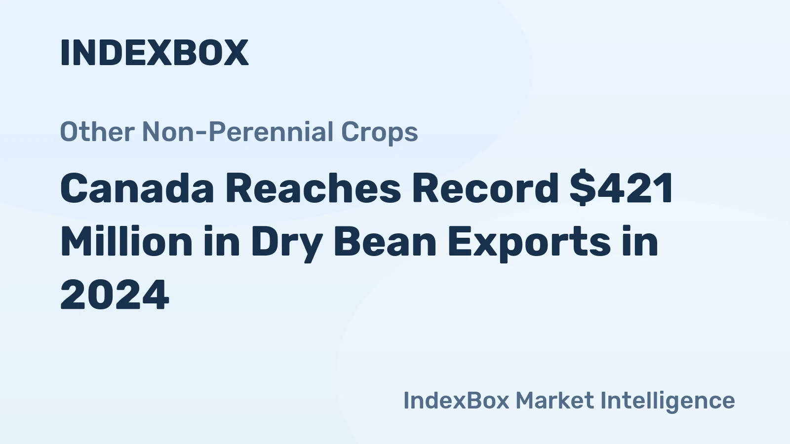 Canada Reaches Record $421 Million in Dry Bean Exports in 2024