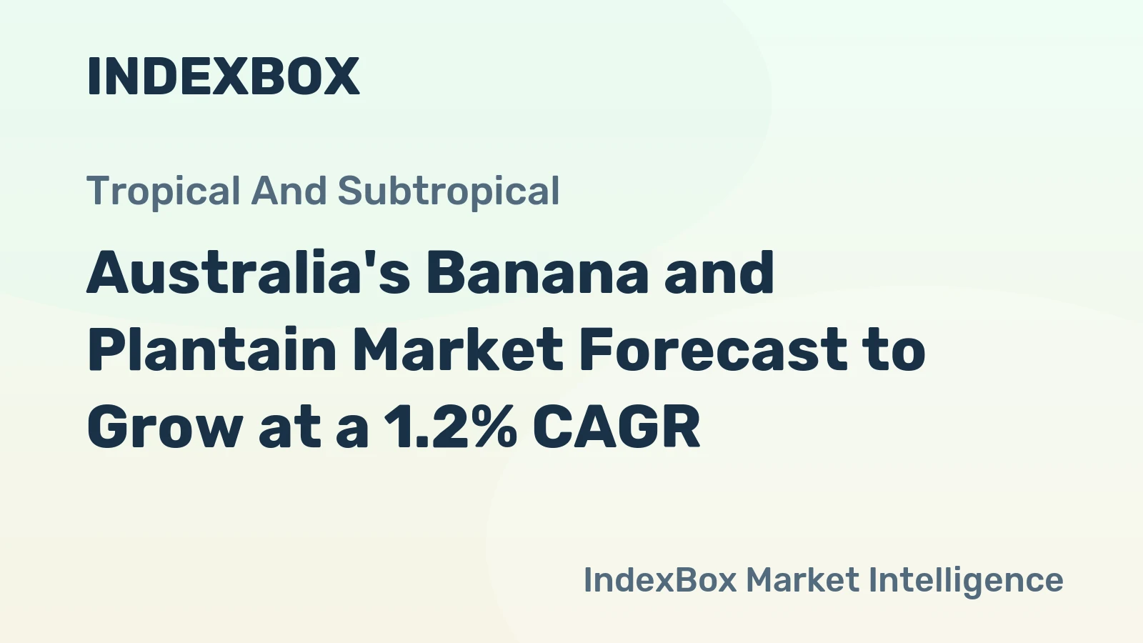 Australia's Banana and Plantain Market Forecast to Grow at a 1.2% CAGR