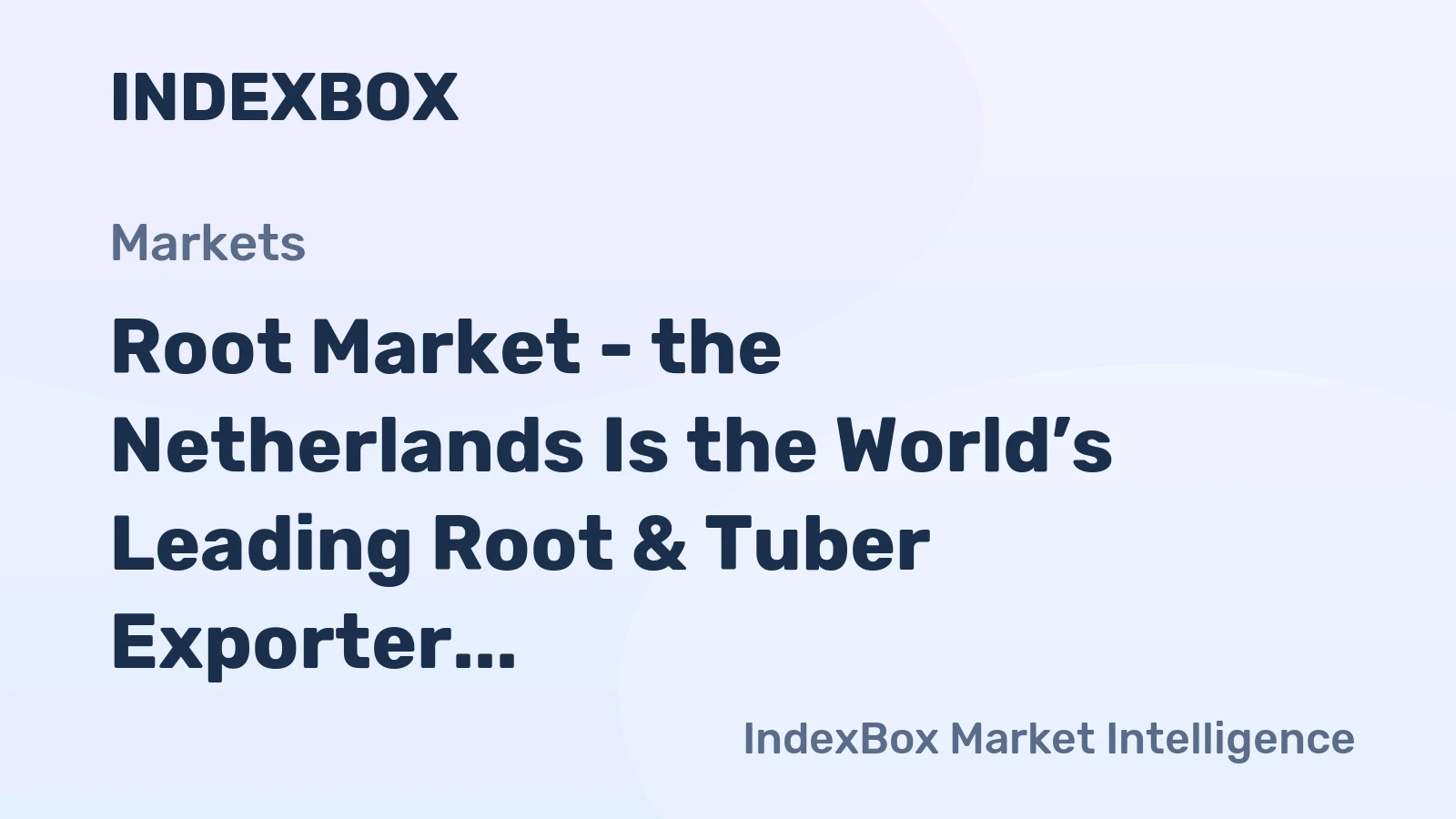 Root Market - the Netherlands Is the World’s Leading Root & Tuber Exporter