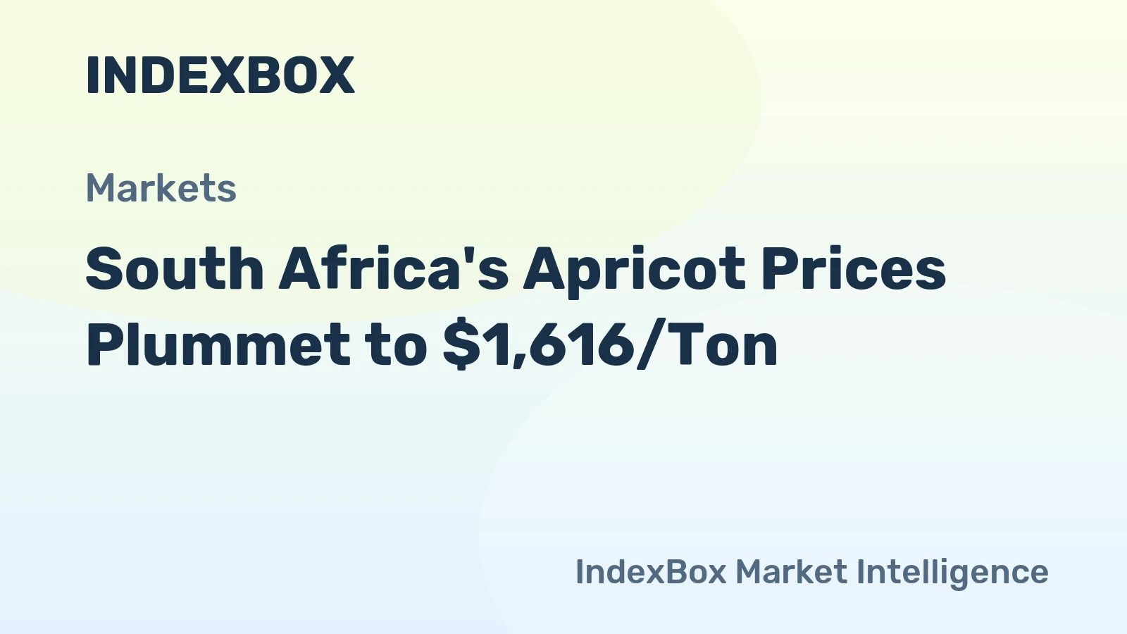 South Africa's Apricot Prices Plummet to $1,616/Ton