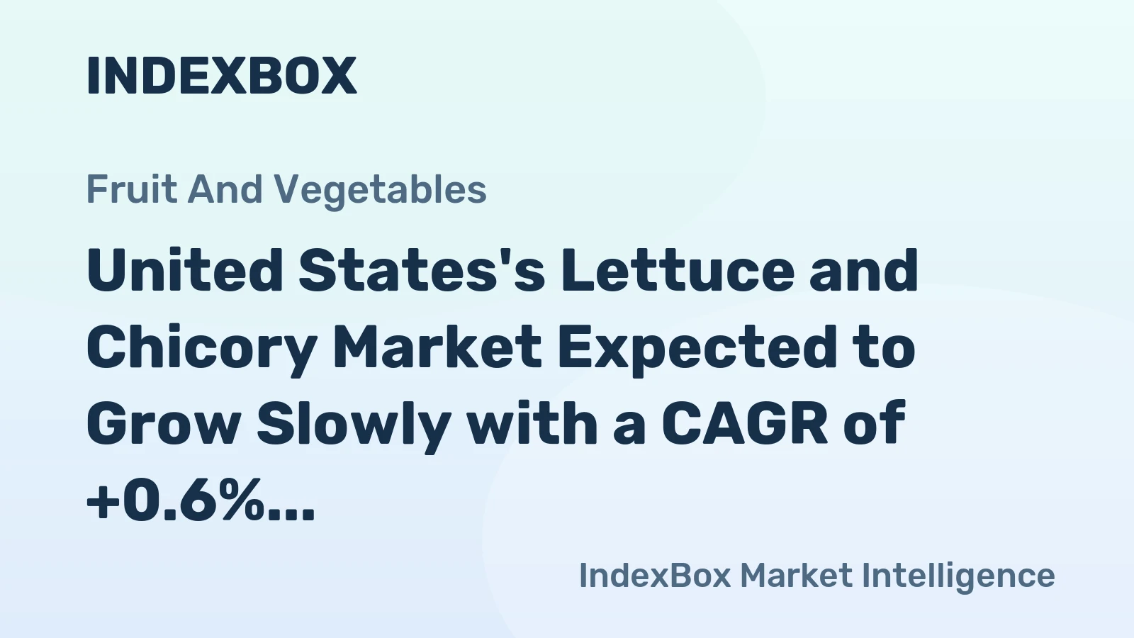 United States's Lettuce and Chicory Market Expected to Grow Slowly with a CAGR of +0.6% by 2035